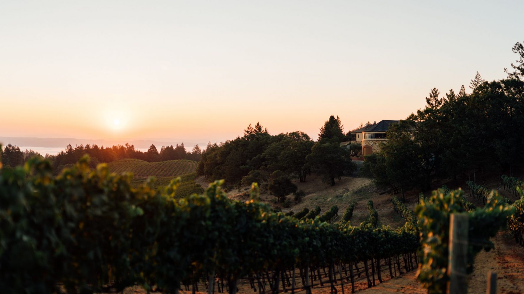 Spring Mountain District | Spring Mountain District