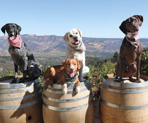 Spring Mountain District | Spring Mountain District